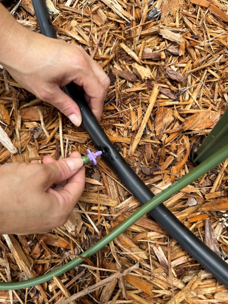 Mister Landscaper Drip Irrigation and Micro Spray. Drip Irrigation and ...