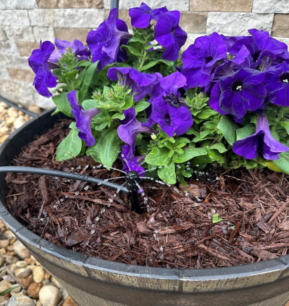Mister Landscaper Drip Irrigation and Micro Spray. Patio & Potted Plant ...